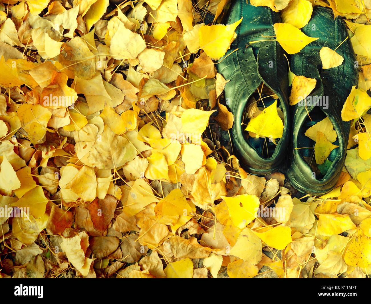 Oldness hi-res stock photography and images - Alamy