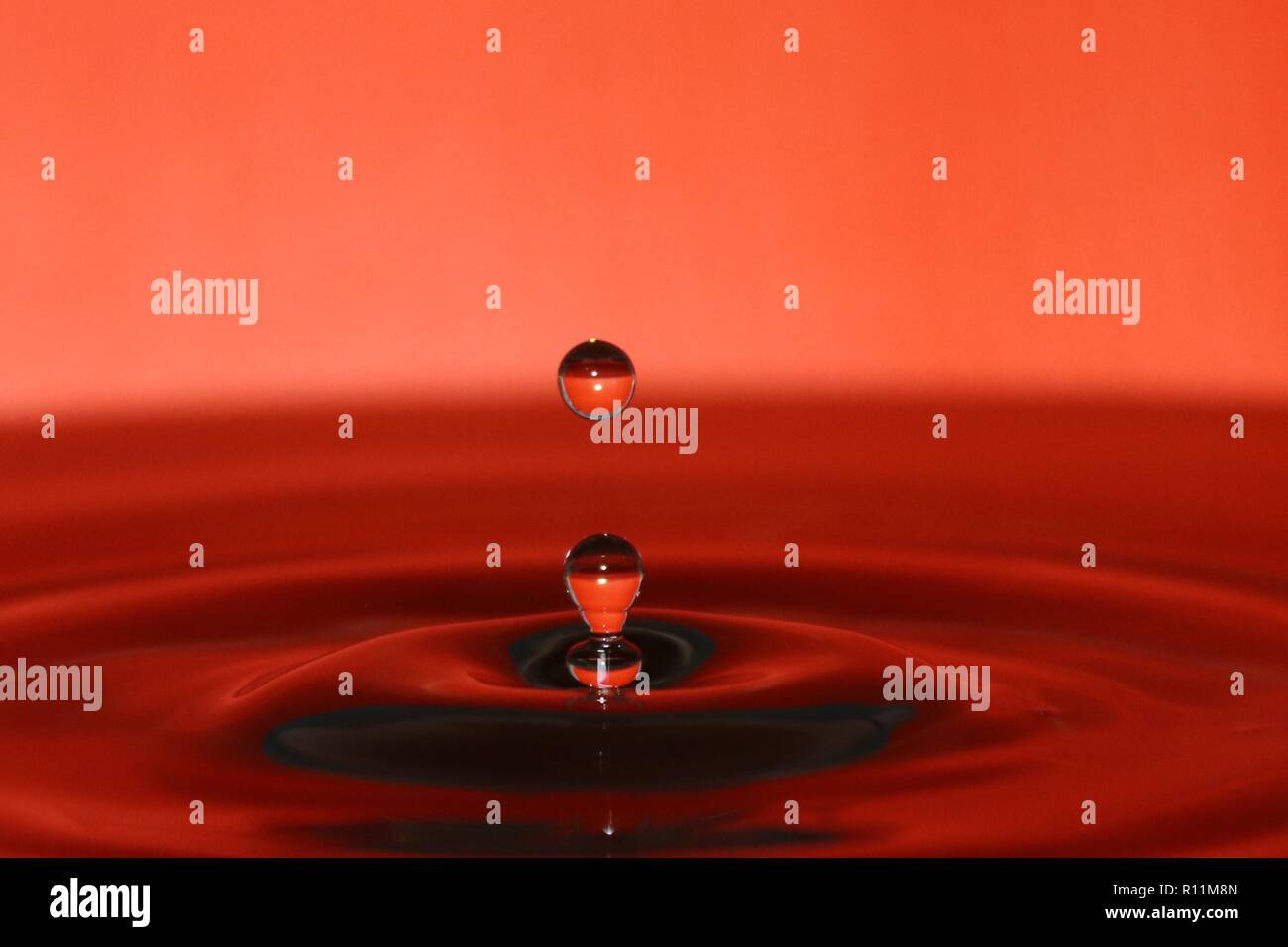 Abstract water droplets photography creating stunning reflections of ...