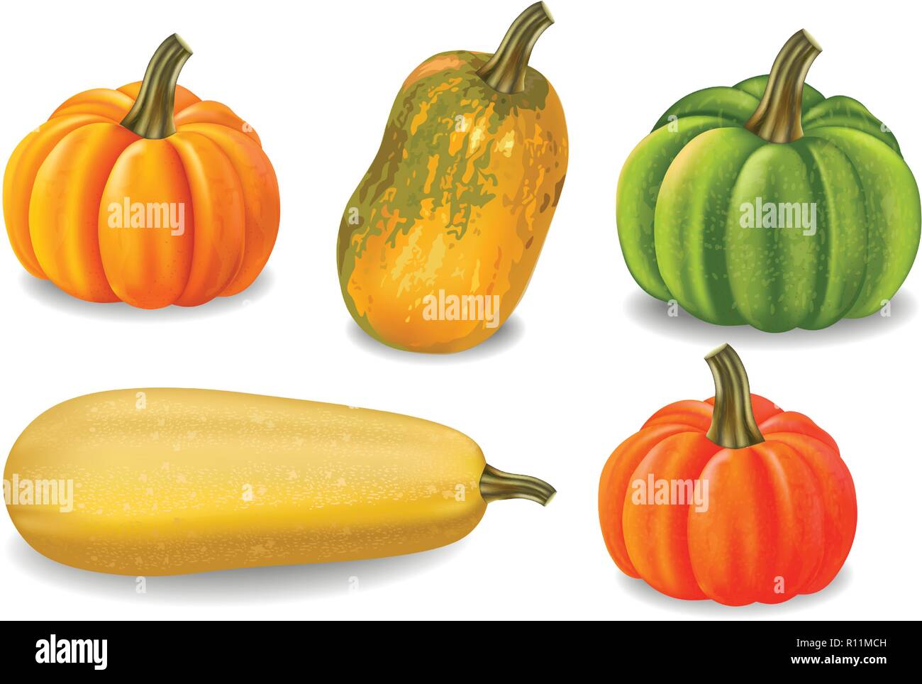 Pumpkins top view Stock Vector Images - Alamy