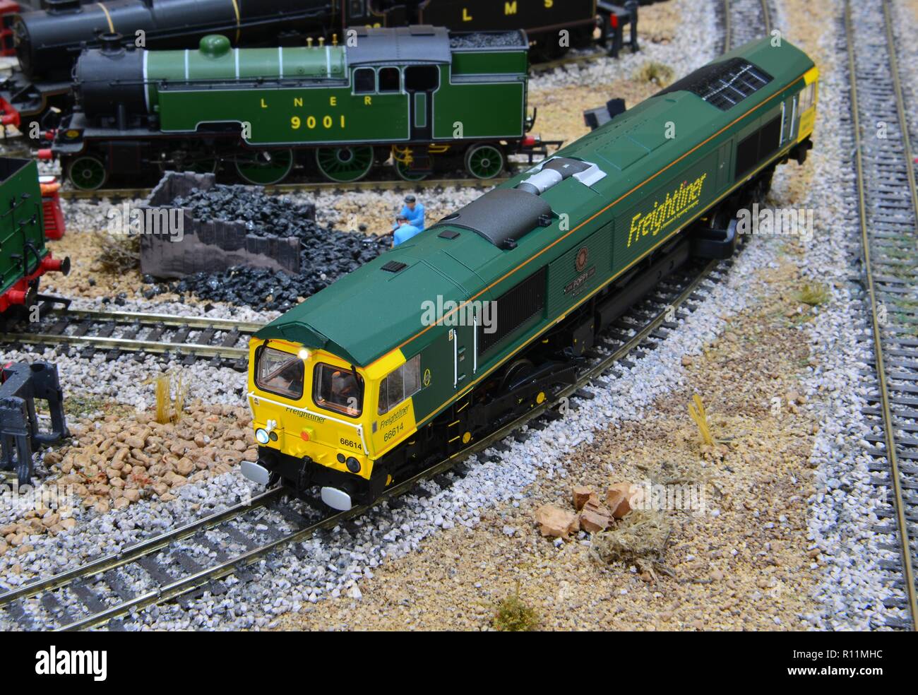 The Class 66 Diesel Poppy in Freightliner livery Stock Photo - Alamy