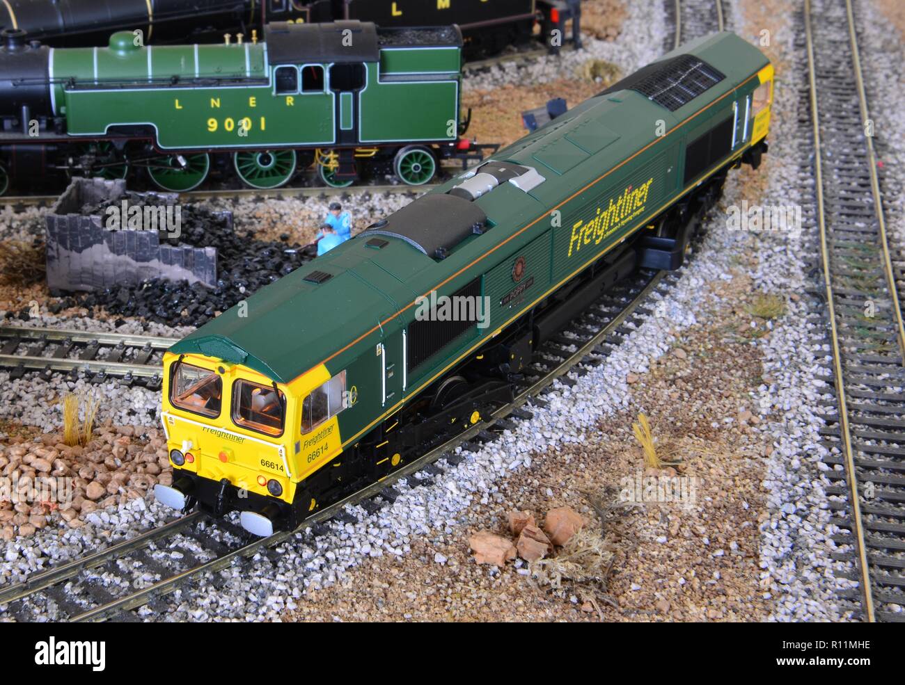 The Class 66 Diesel Poppy in Freightliner livery Stock Photo - Alamy