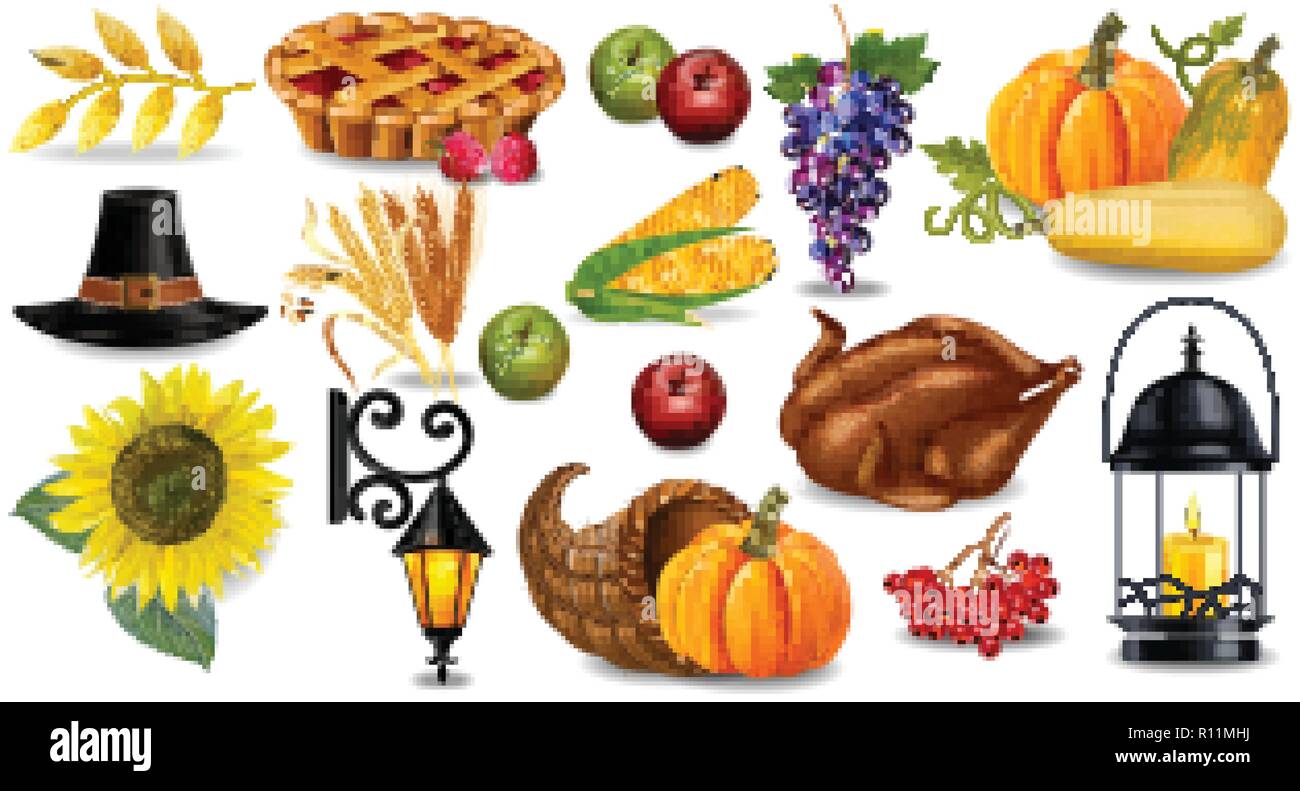 Thanksgiving set Vector realistic. Turkey, pie, pumpkins, hat 3d ...