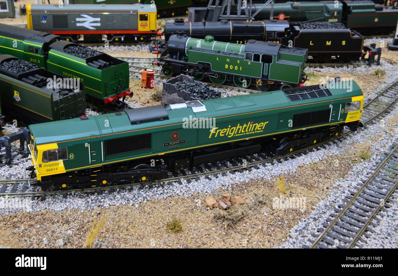 The Class 66 Diesel Poppy in Freightliner livery Stock Photo - Alamy