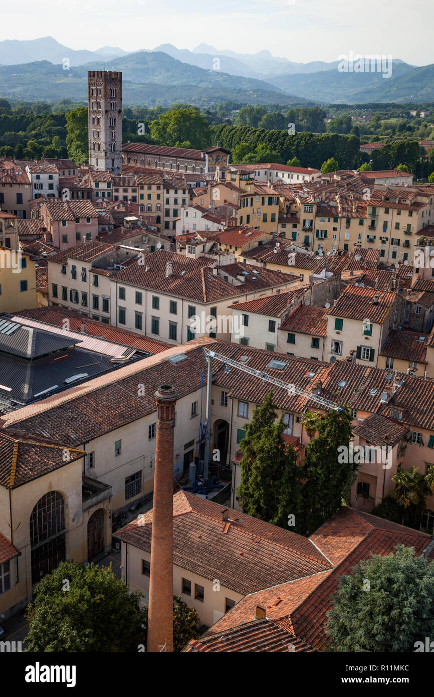 The rooftops of the medieval city of Lucca viewed from the Torre ...