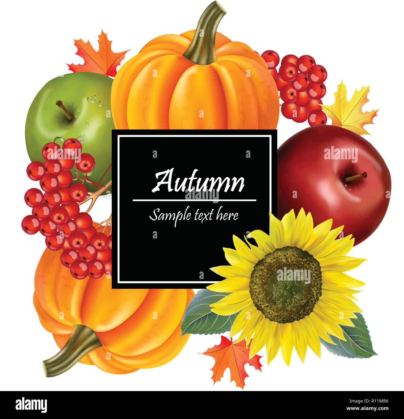 Autumn harvest Vector realistic. Sunflower,pumpkin, apples detailed ...