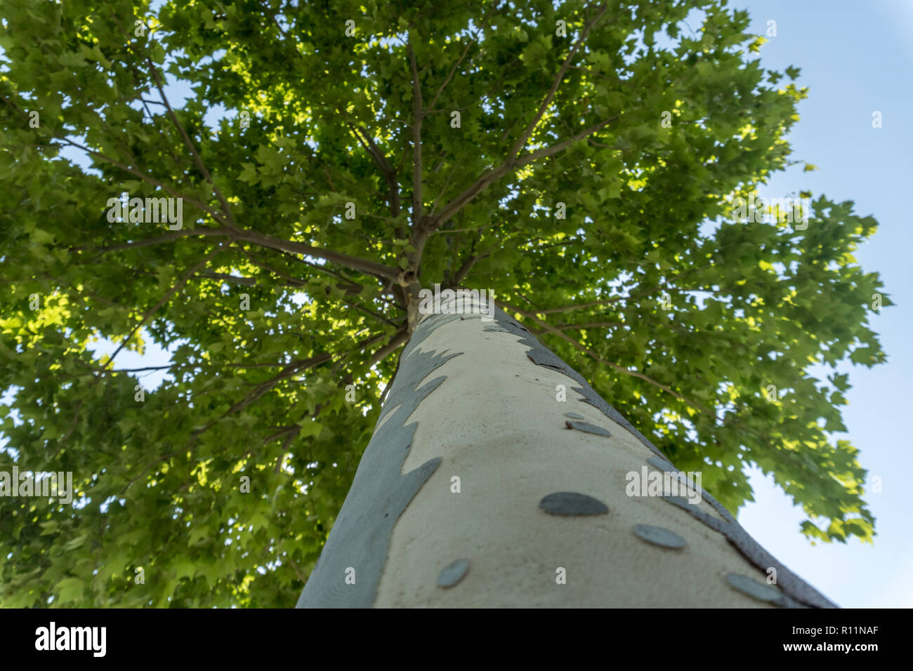 Bottom pattern texture hi-res stock photography and images - Alamy
