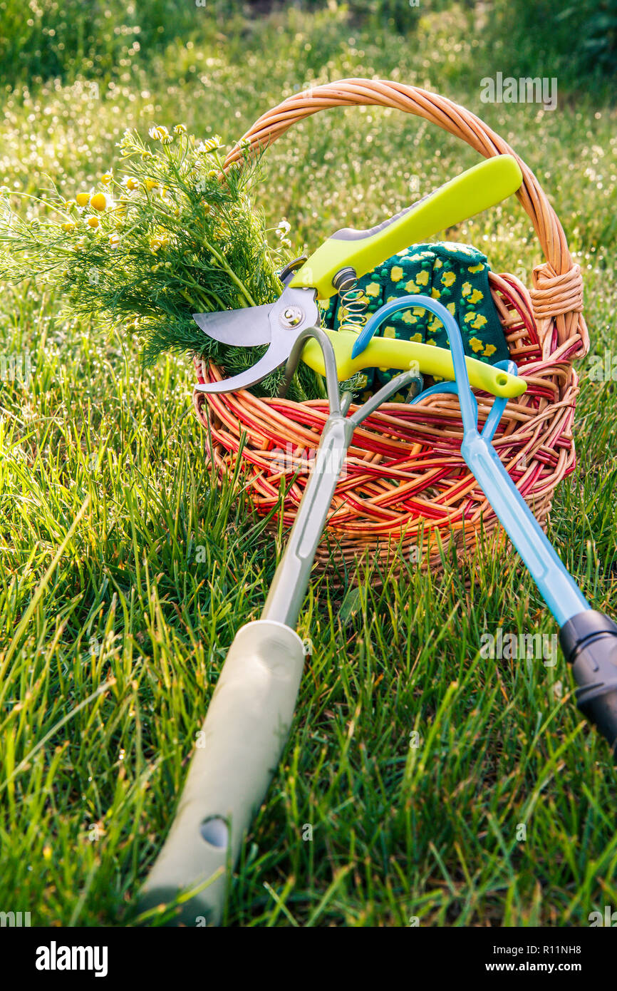 Garden rakes hi-res stock photography and images - Alamy