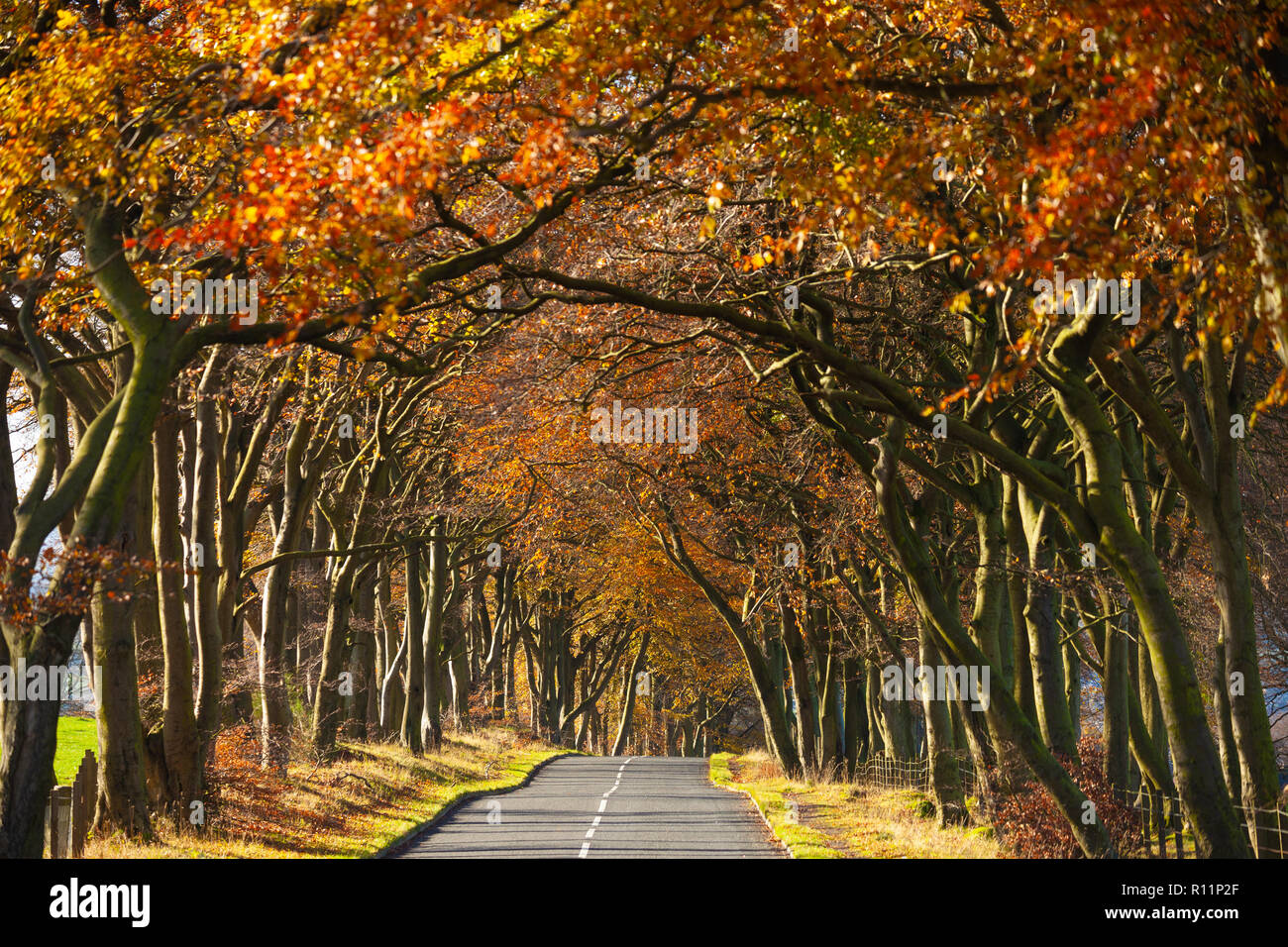Bathgate road hi-res stock photography and images - Alamy