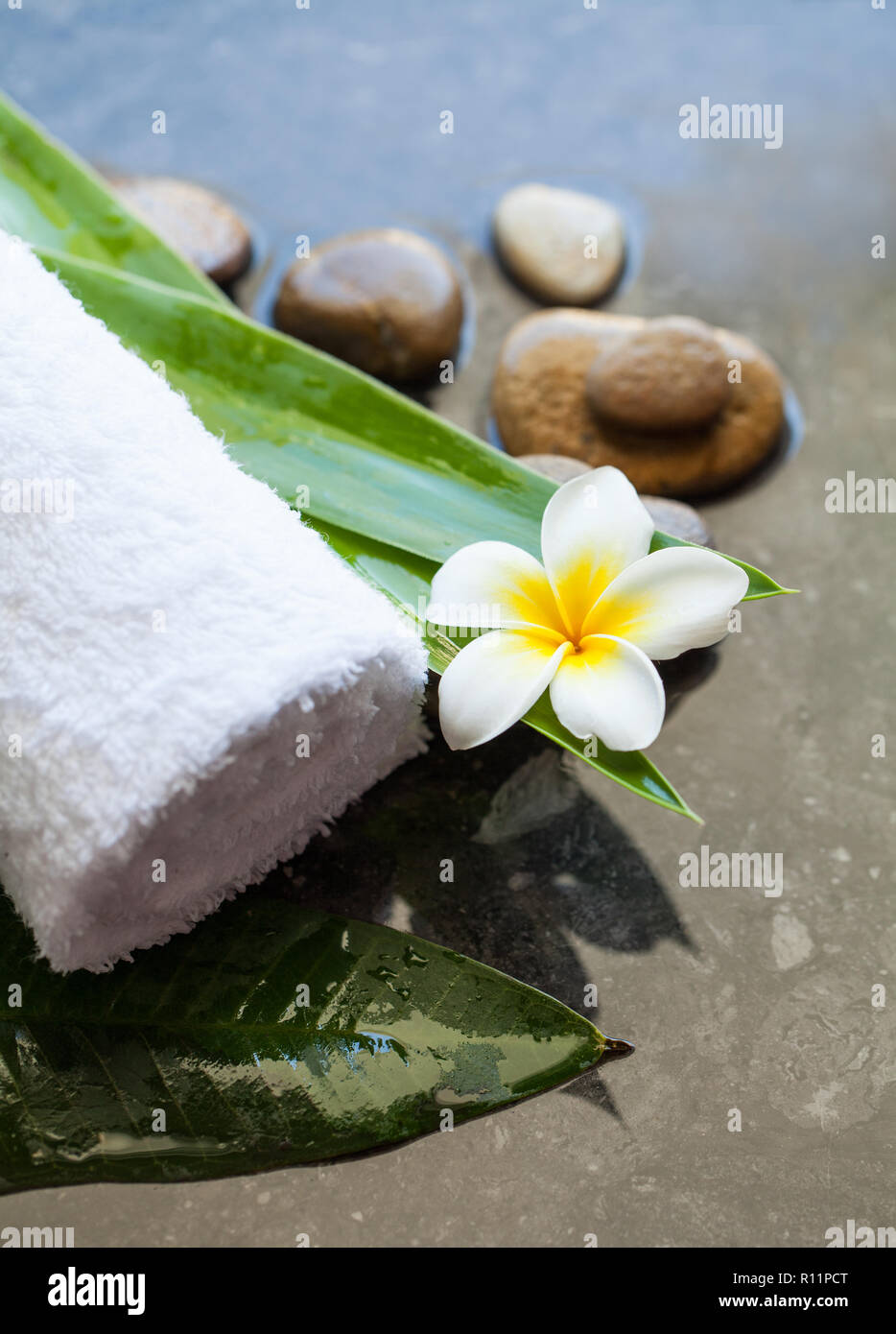 Spa background with green leaves, flowers and stones on black Stock ...