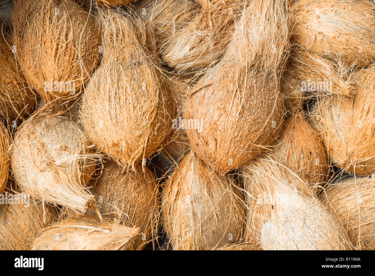 Coconuts in local market. Stone Town, Zanzibar, Tanzania Stock Photo ...