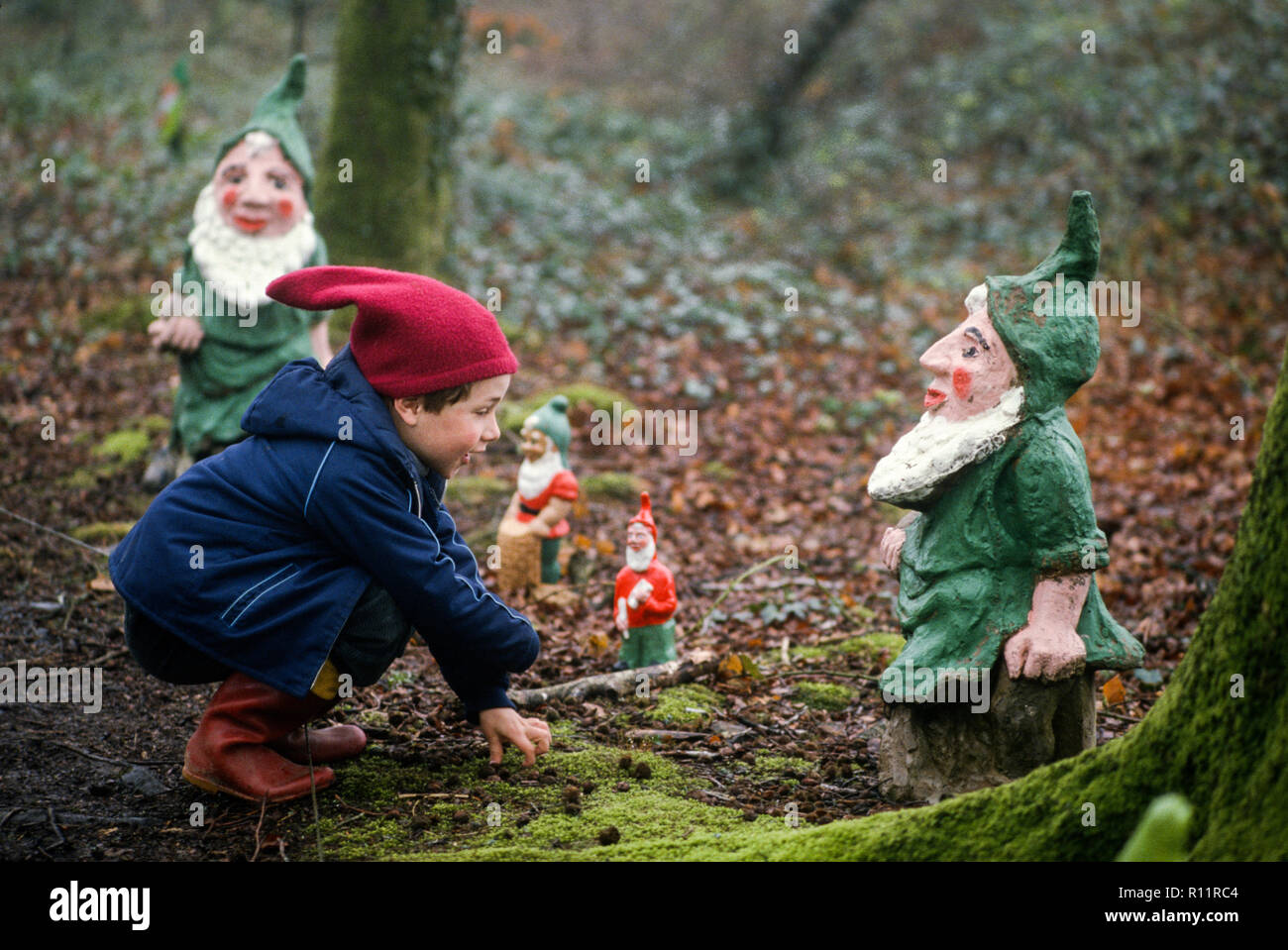 Gnome reserve hi-res stock photography and images - Alamy