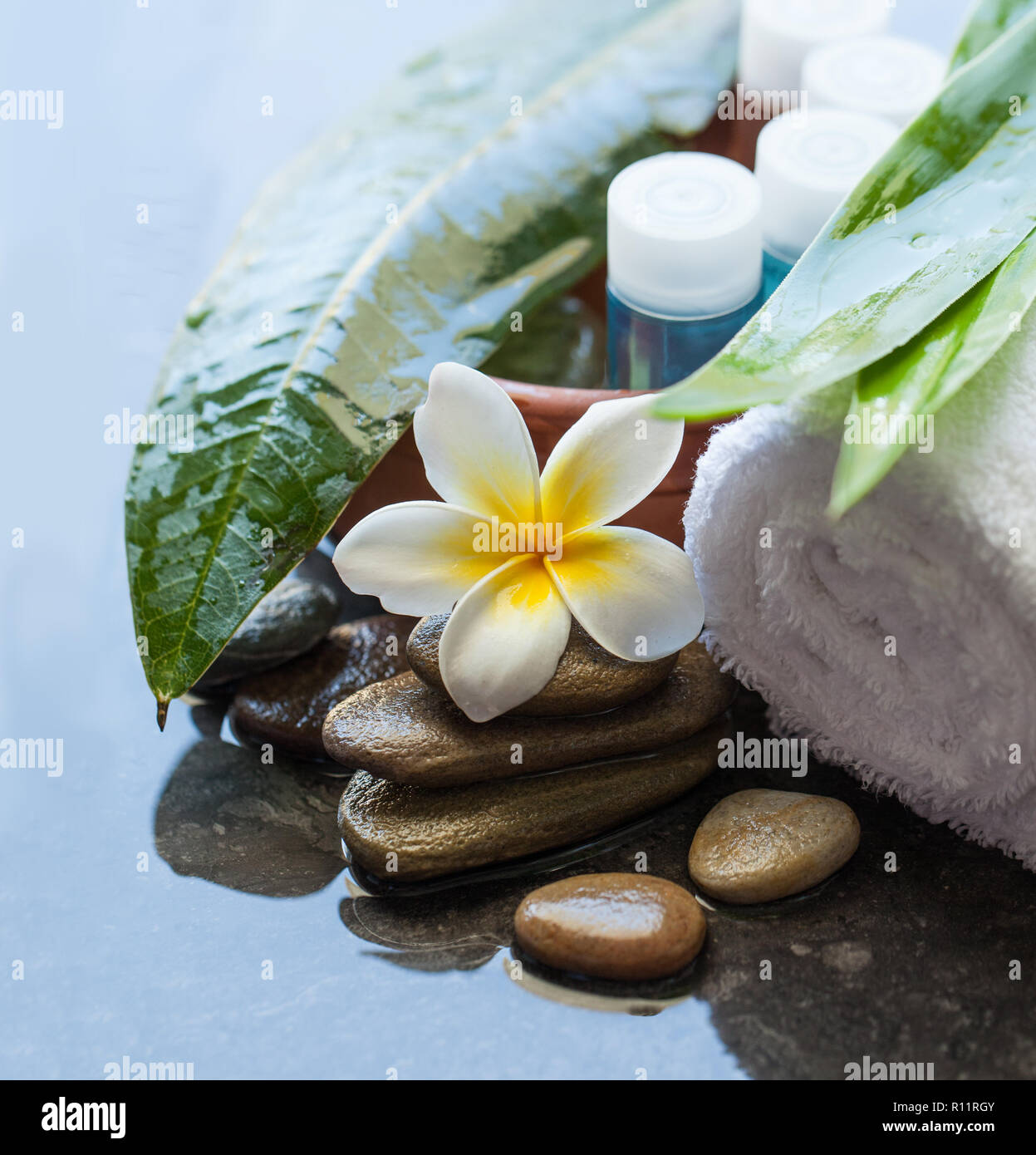 Wellness set hi-res stock photography and images - Alamy