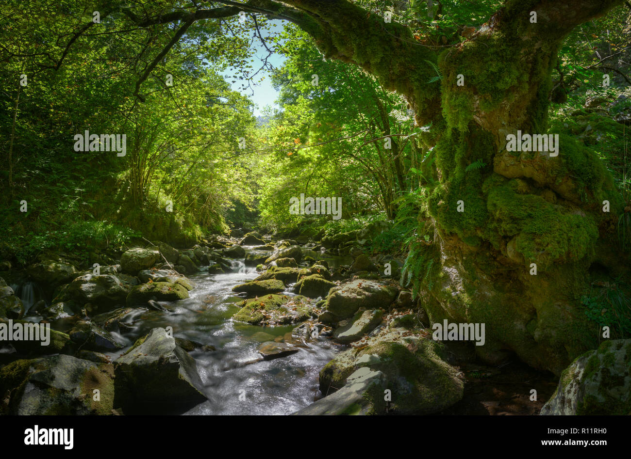 Edge rock covered old hi-res stock photography and images - Alamy