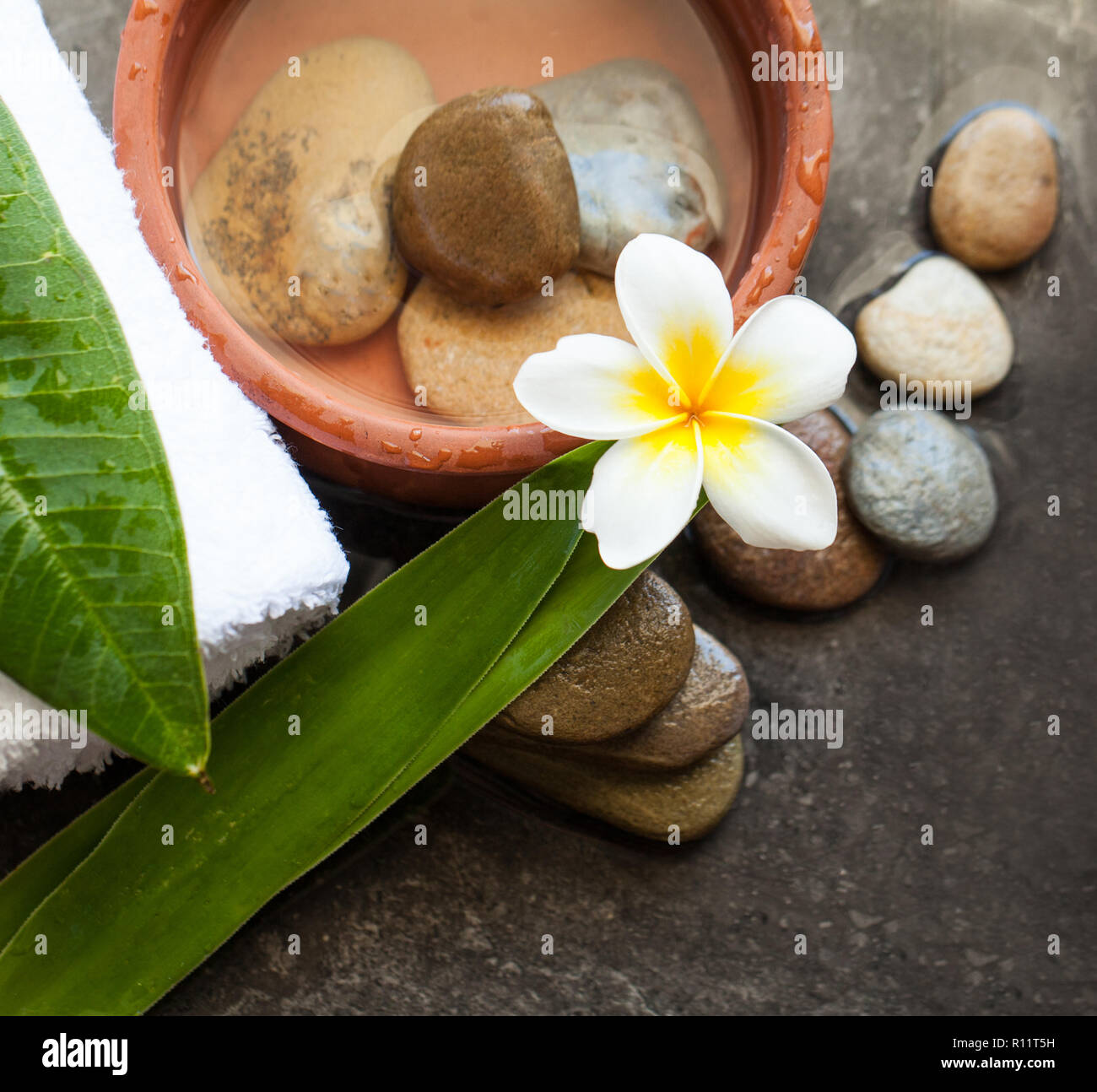 Spa background with green leaves, flower and stones on dark background Stock Photo - Alamy