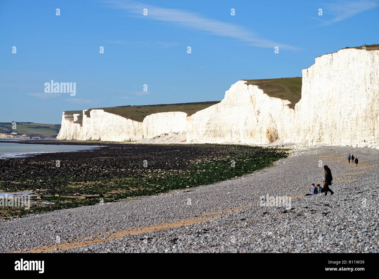 The Seven Sisters and coastline at Birling Gap East Sussex England UK ...
