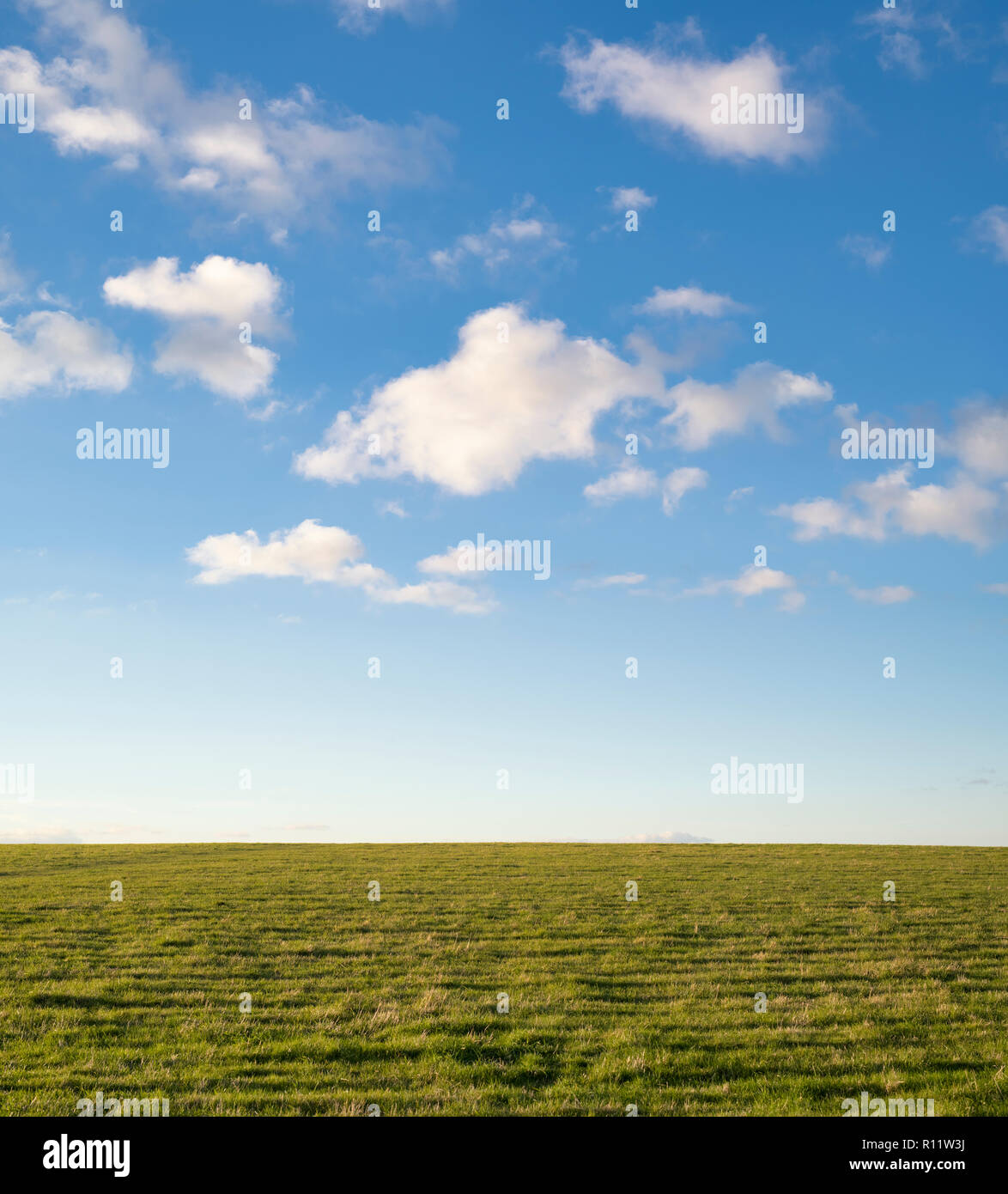Selsley common and blue cloudy sky abstract. Selsley common, Cotswolds ...