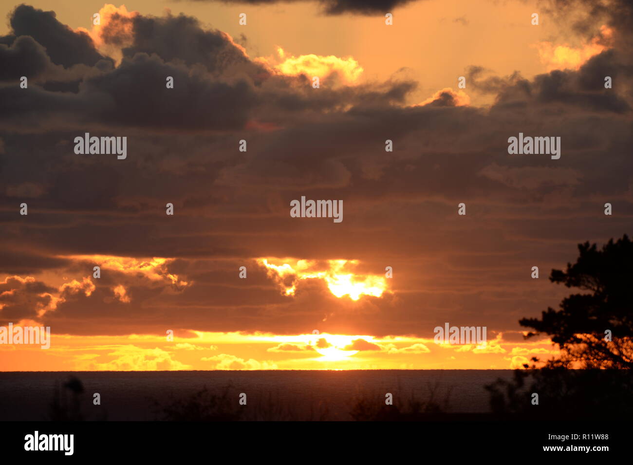 Intense sun hi-res stock photography and images - Alamy