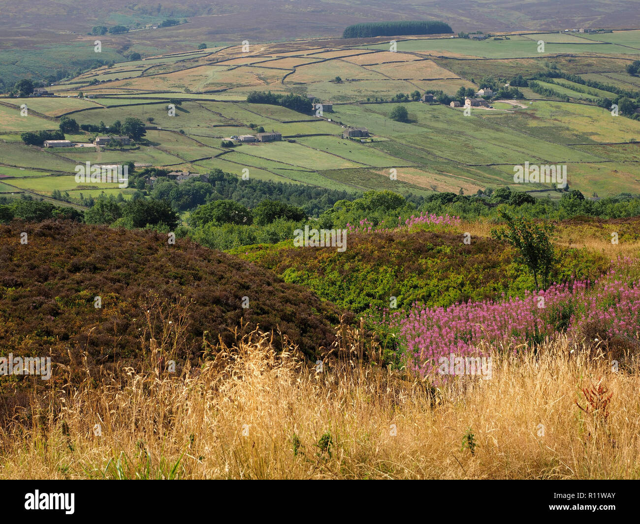 Haworth moor hi-res stock photography and images - Alamy