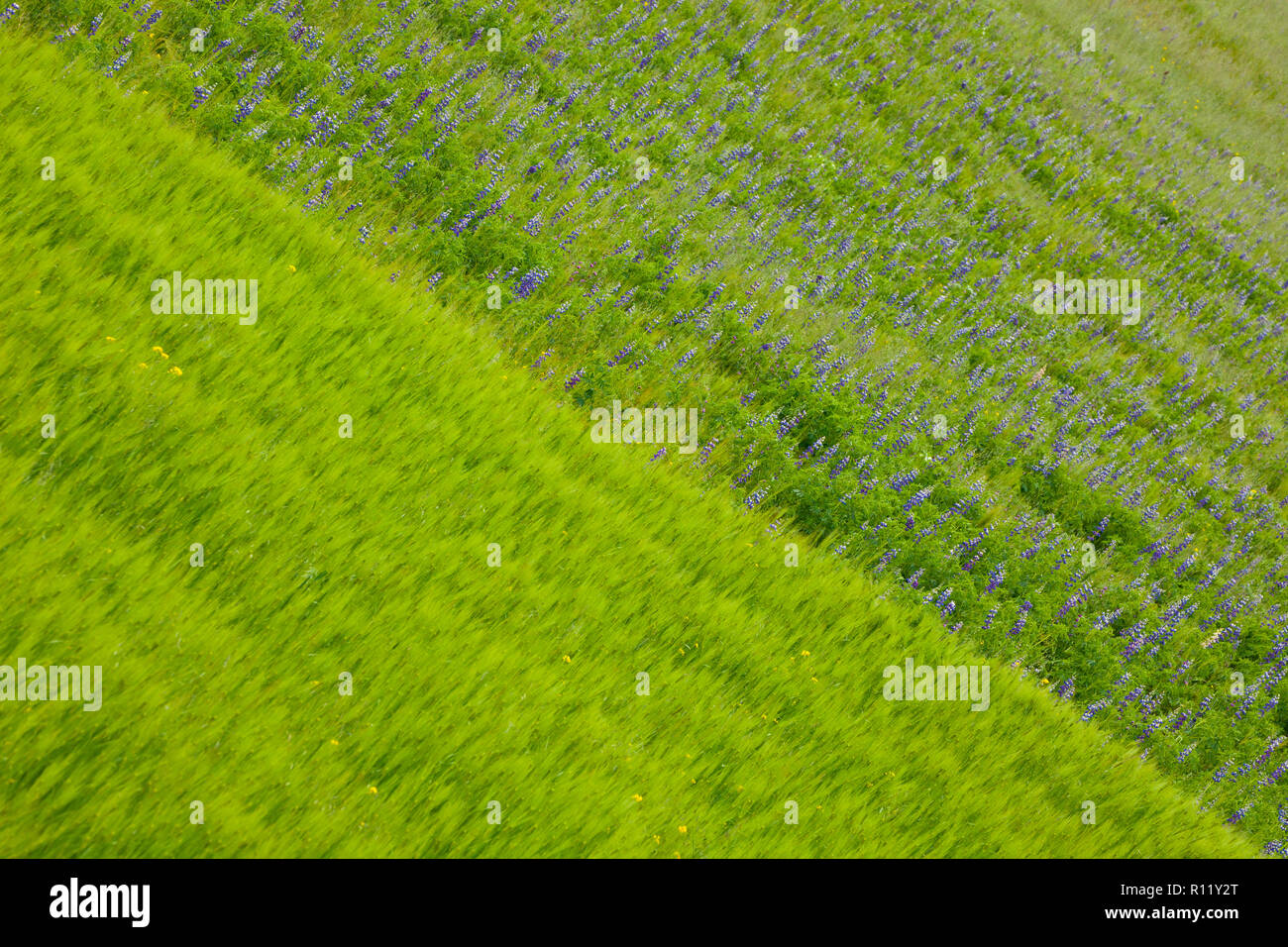 Landscapes of Peru Stock Photo - Alamy