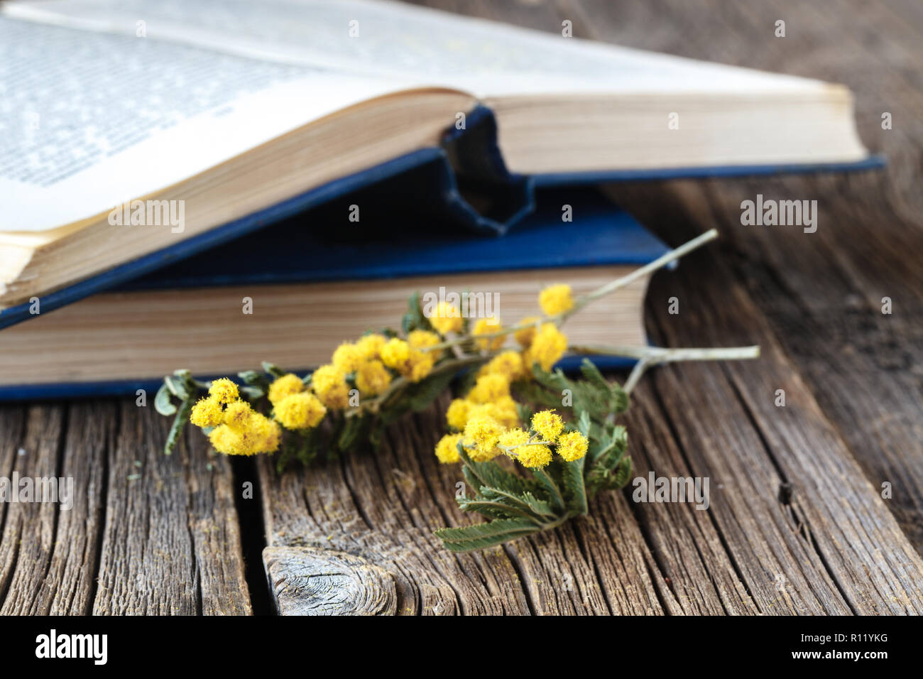 Spring education time with flowers and book Stock Photo - Alamy