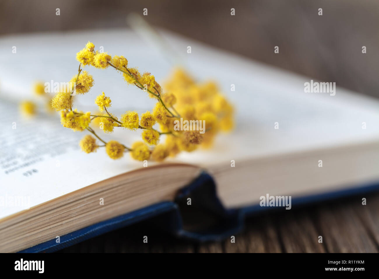 Spring education time with flowers and book Stock Photo - Alamy