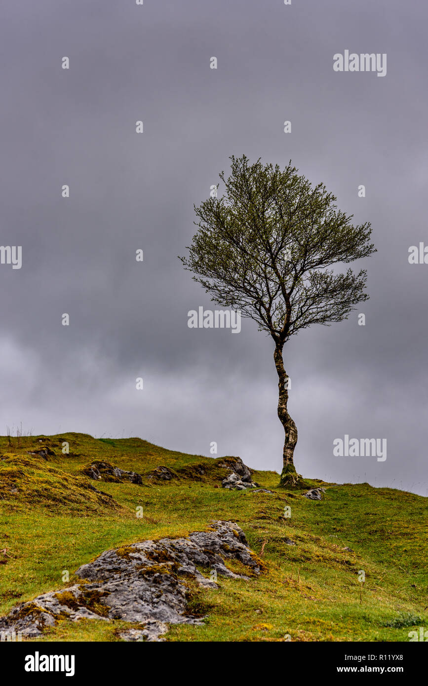Breathtaking Scottish landscapes in autumn - beautiful moody images ...