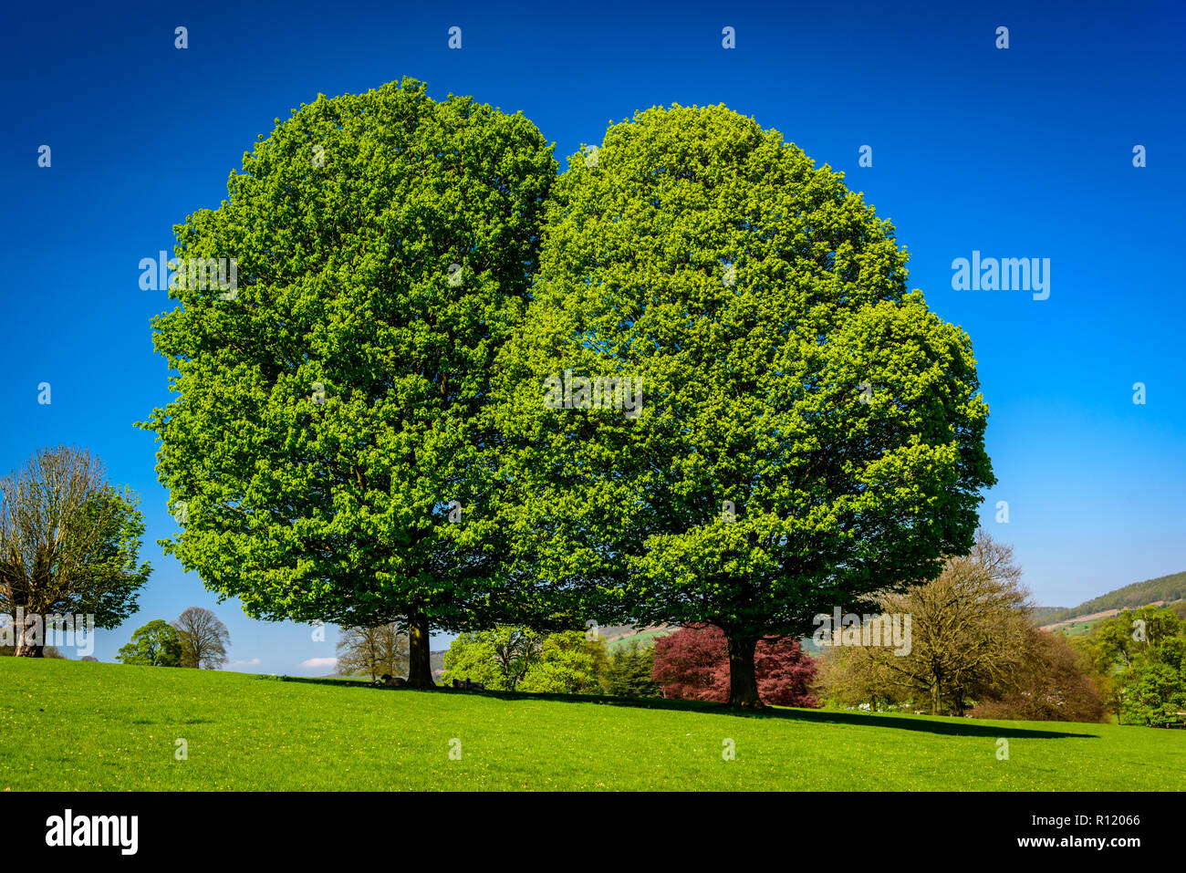 Amazing landscapes at Lake District - beautiful summer images from ...