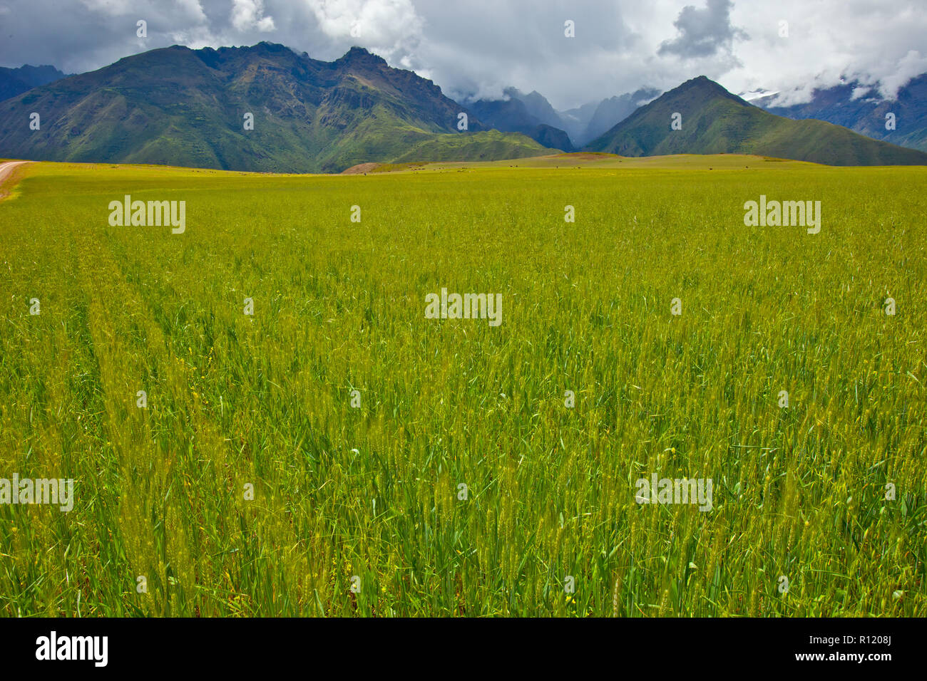 Landscapes of Peru Stock Photo - Alamy