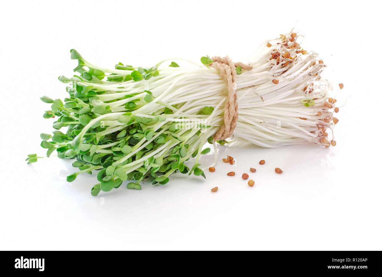 pea sprouts isolated on white background Stock Photo - Alamy