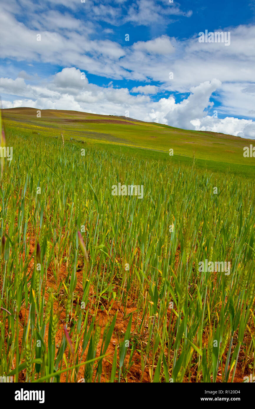 Landscapes of Peru Stock Photo - Alamy