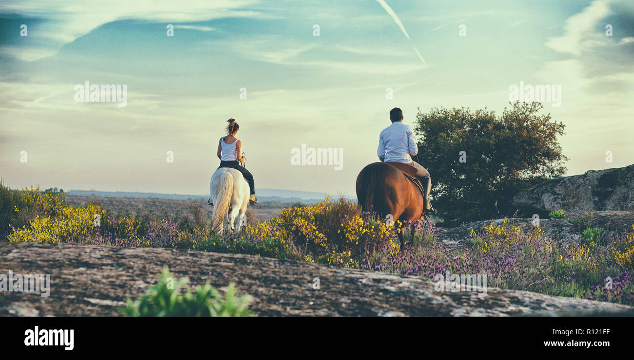 Woman riding horse back hi-res stock photography and images - Alamy