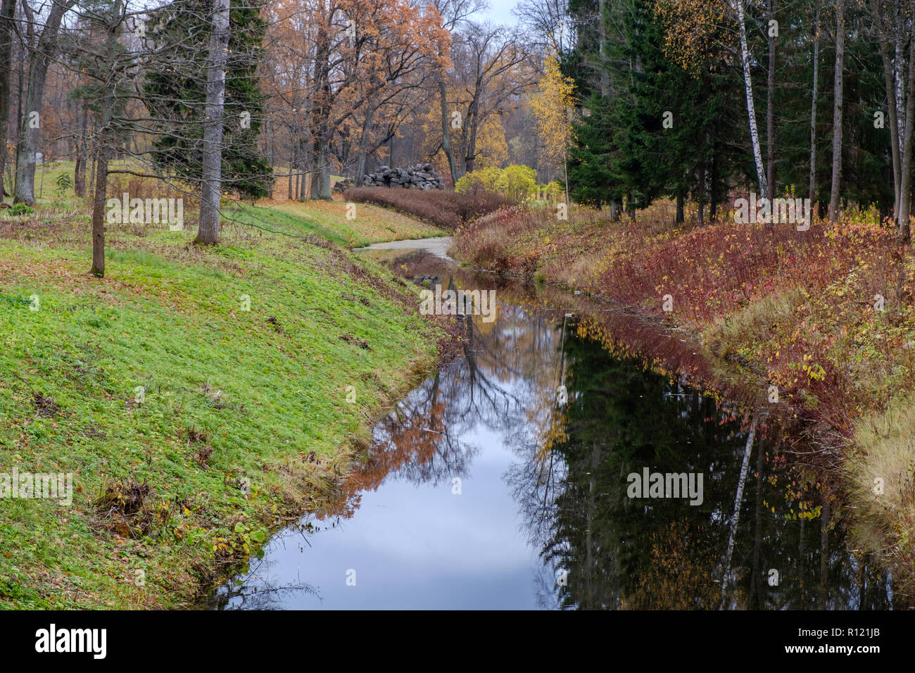 Autumn forest with small river. Landscape with trees and river Stock ...