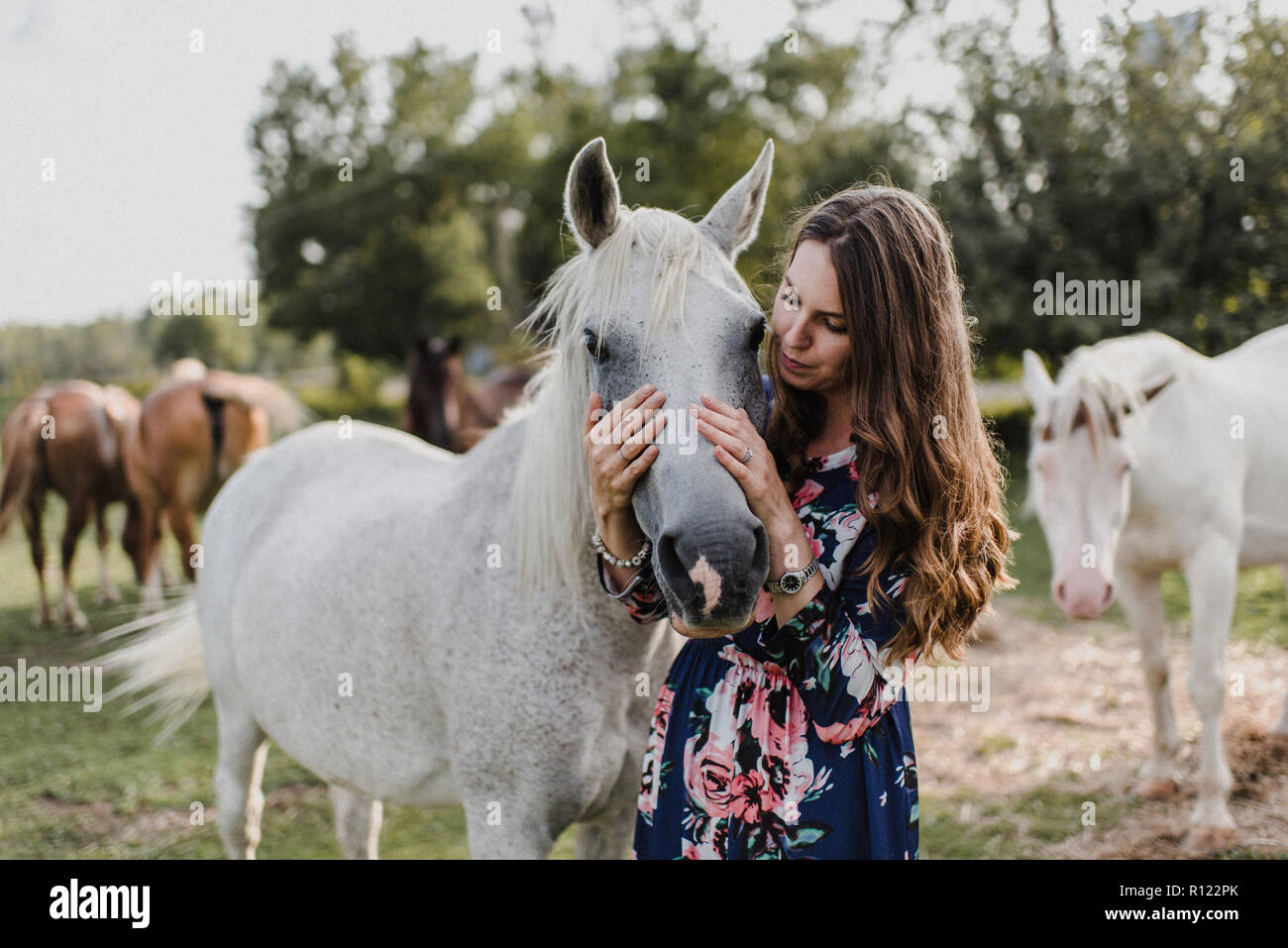 Woman hugging horse Stock Photo - Alamy