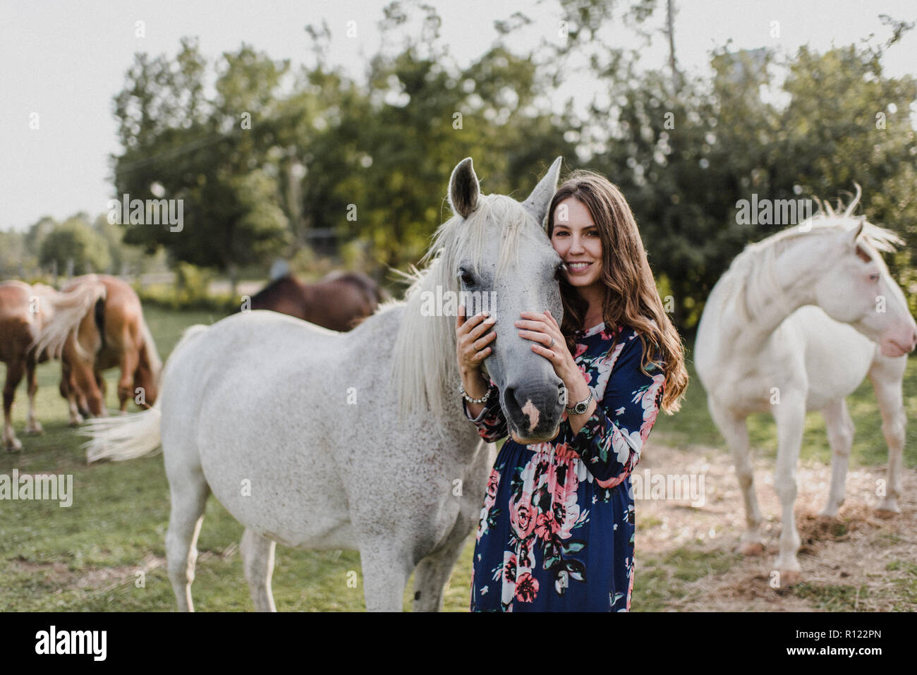 Person Hugging With Horse Stock Photos & Person Hugging With Horse ...