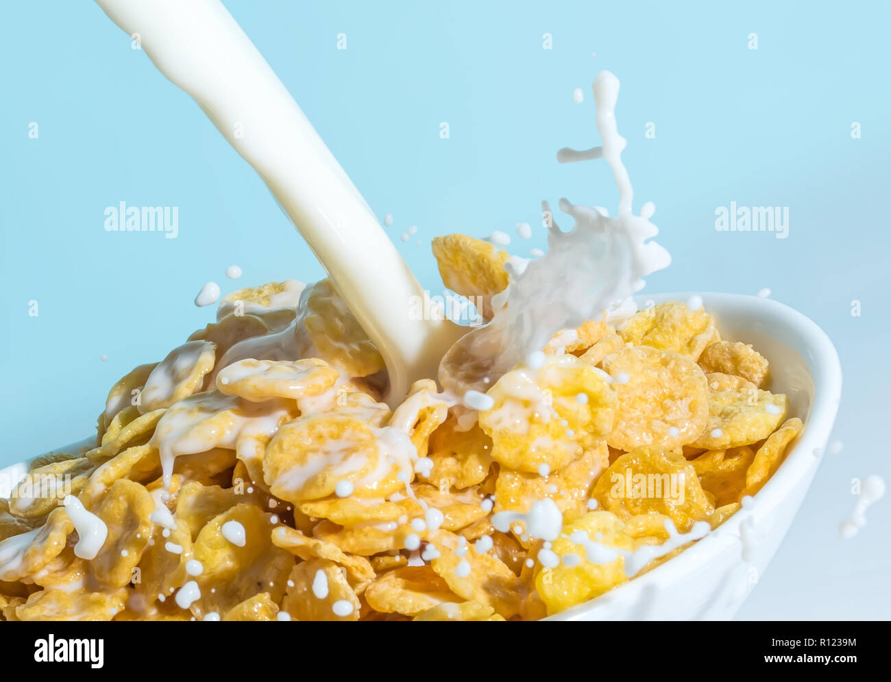 Milk stream pouring into a bowl with yellow flakes, milk splashes on a ...