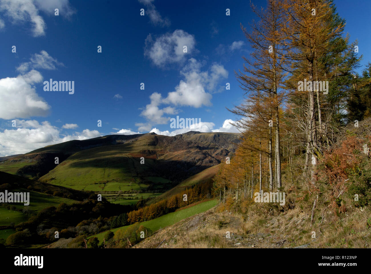 Trees and mountains in wales hi-res stock photography and images - Alamy