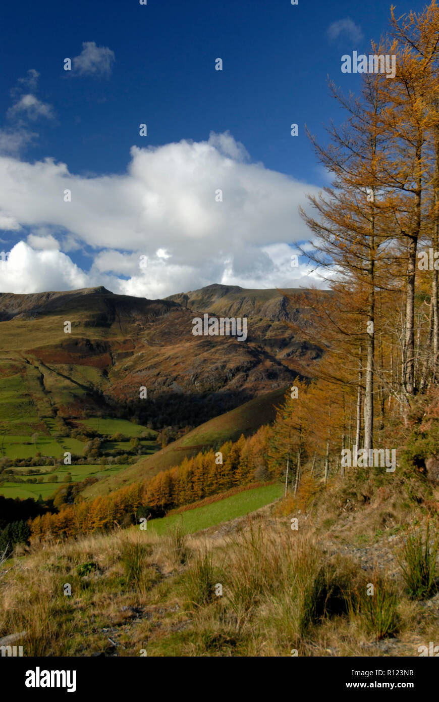mountain landscape in the Snowdonia National Park, Gwynedd, Wales UK ...
