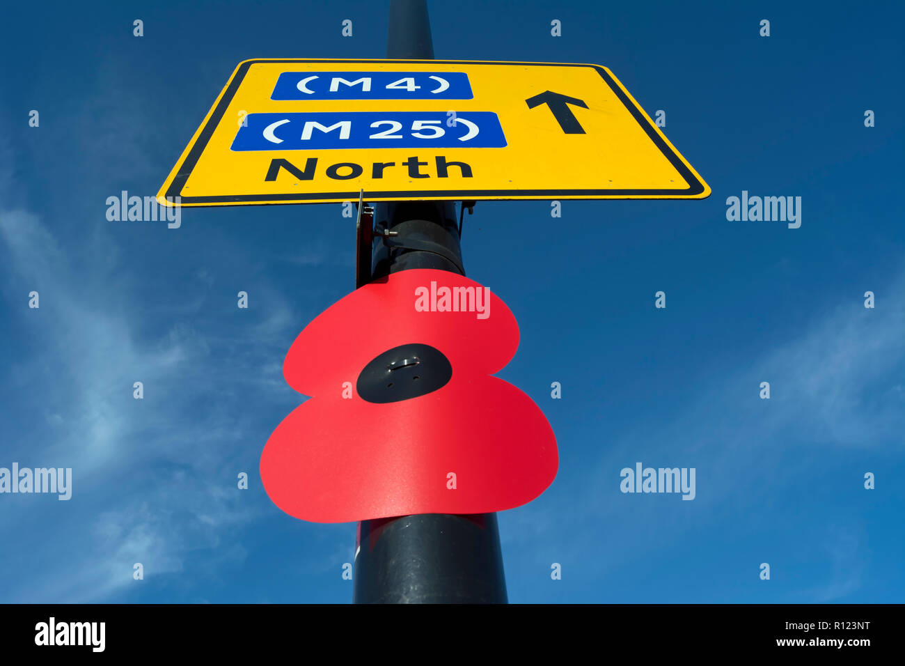 oversized remembrance poppy attached to a lamppost beneath a road sign ...