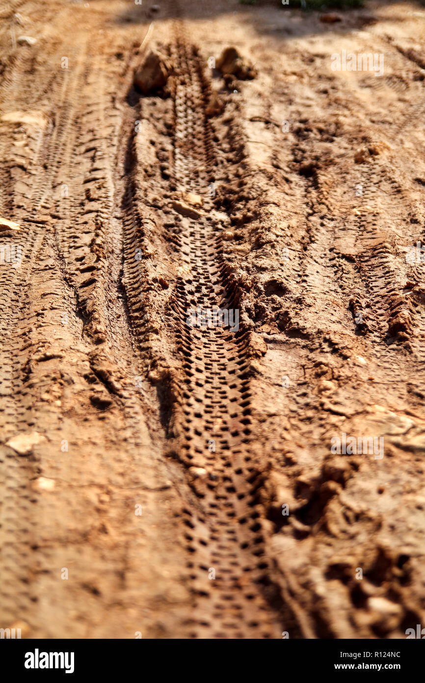 Bike tire tracks on muddy trail royalty. Tire tracks on wet muddy road ...