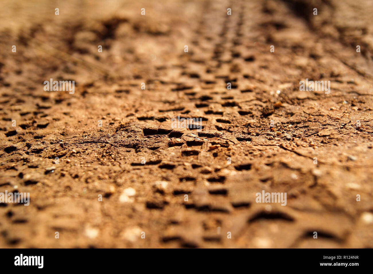 Bike tire tracks on muddy trail royalty. Tire tracks on wet muddy road ...