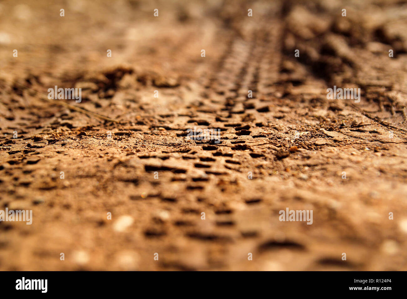 Bike tire tracks on muddy trail royalty. Tire tracks on wet muddy road ...