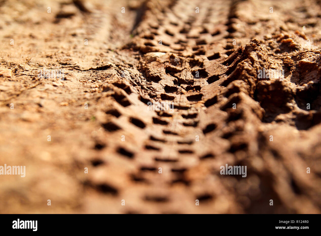 Bike tire tracks on muddy trail royalty. Tire tracks on wet muddy road ...
