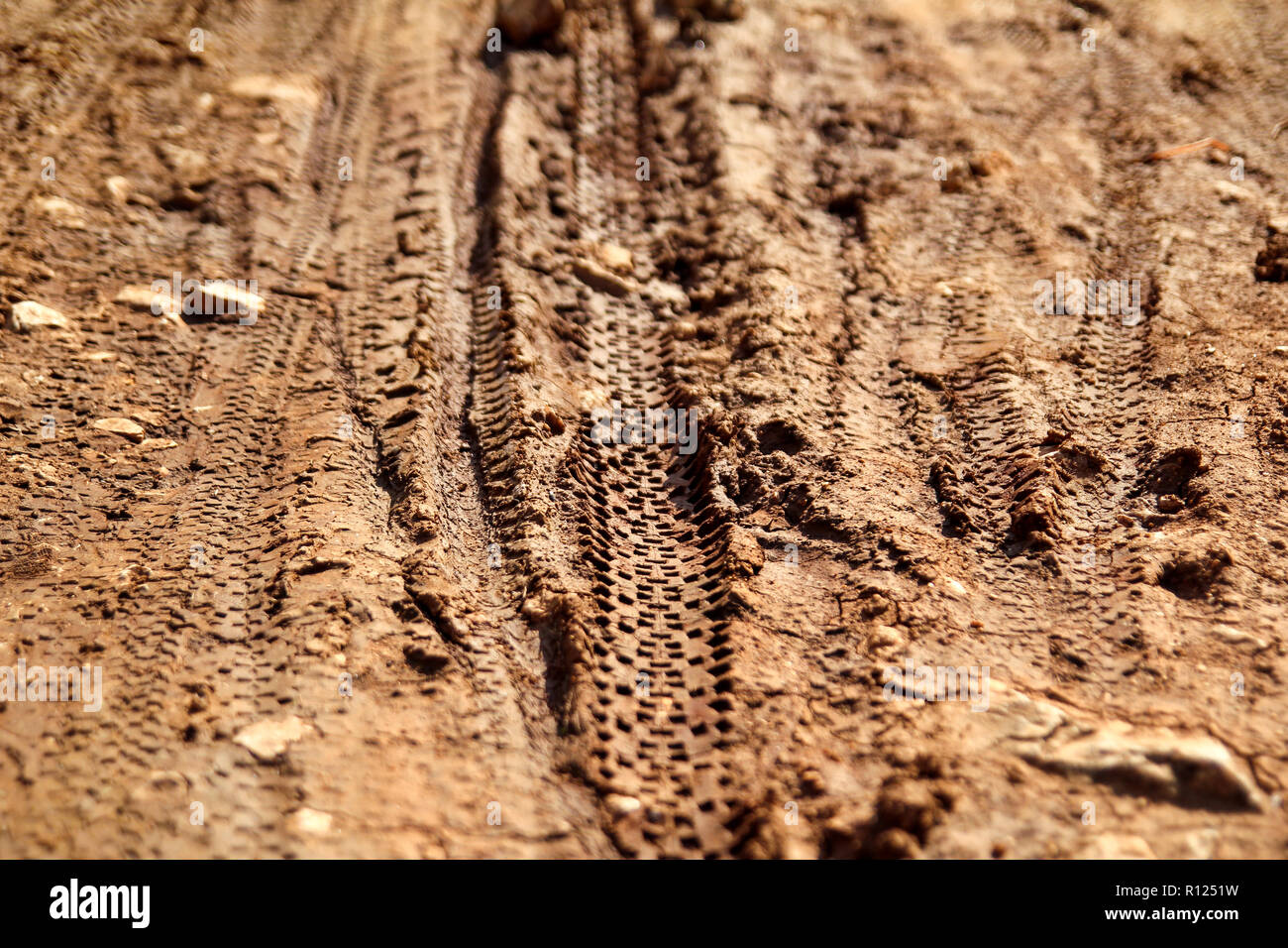 Bike tire tracks on muddy trail royalty. Tire tracks on wet muddy road ...