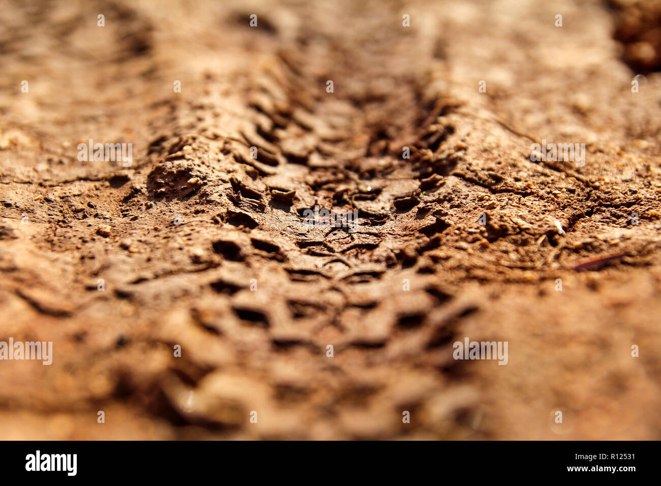 Bike tire tracks on muddy trail royalty. Tire tracks on wet muddy road ...