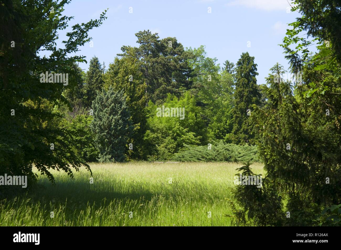 Hetzendorf palace hi-res stock photography and images - Alamy