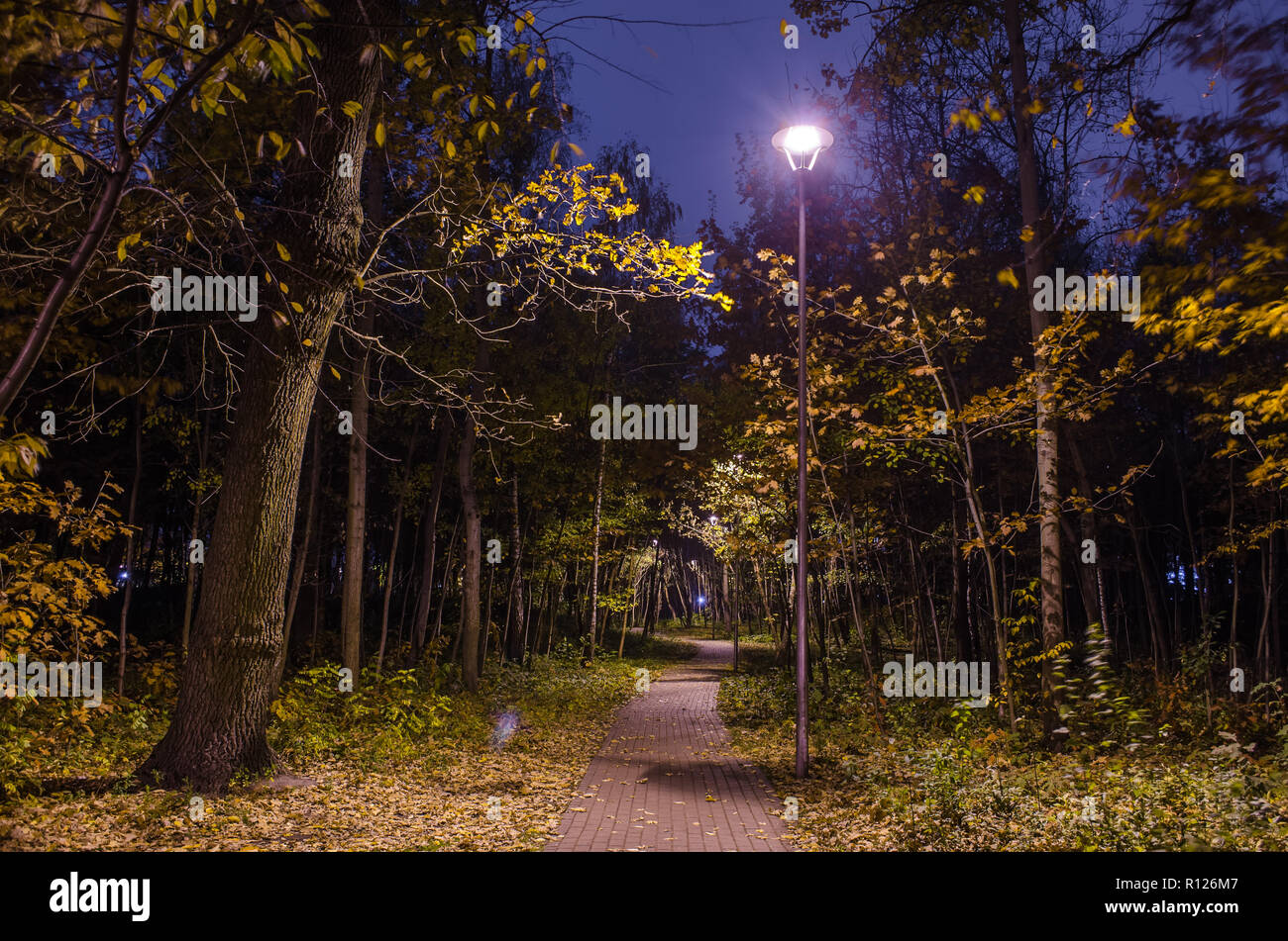 Mystical trail in the night forest in the park with glowing lanterns ...