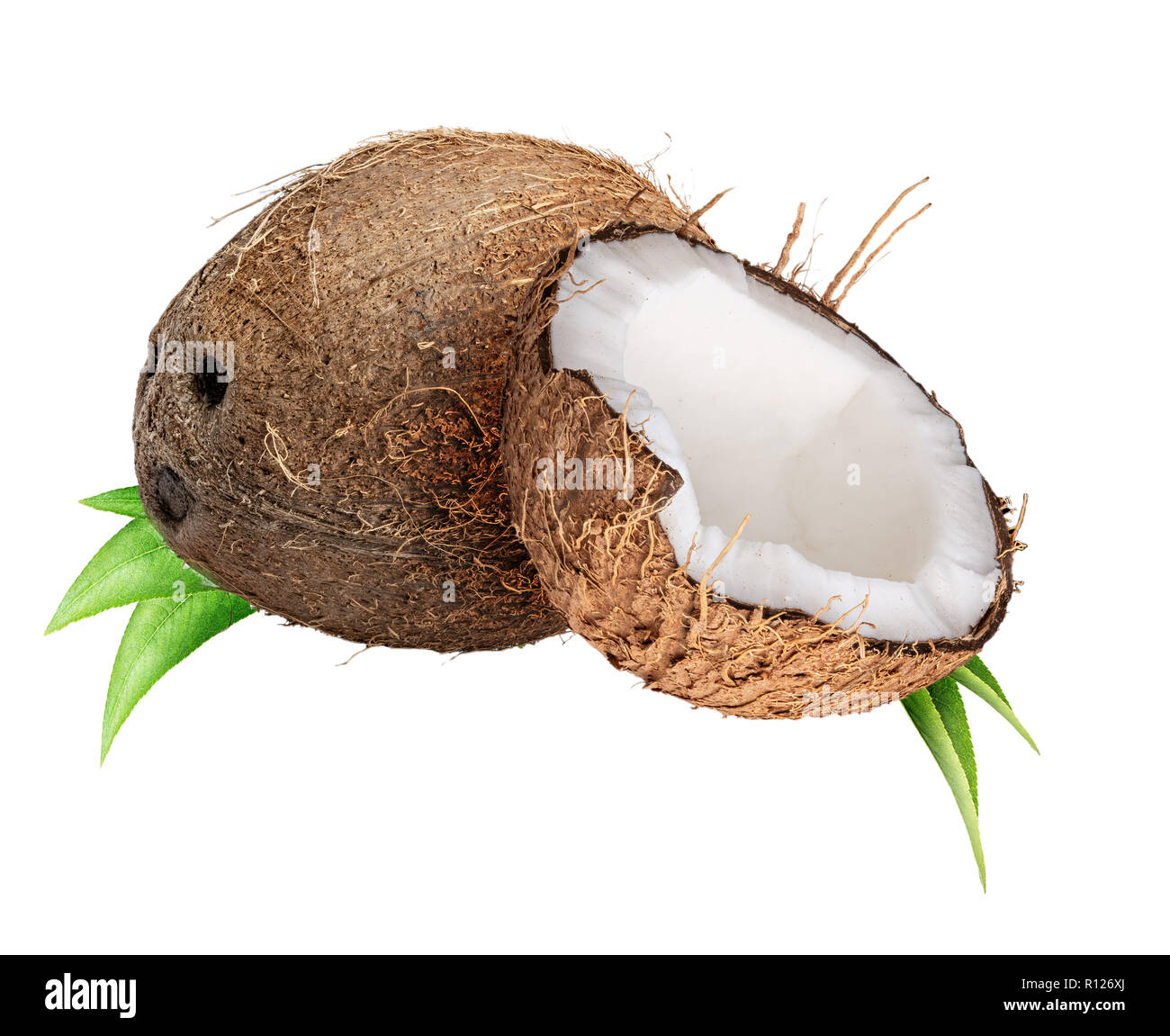 Group of coconuts isolated on white background Stock Photo - Alamy