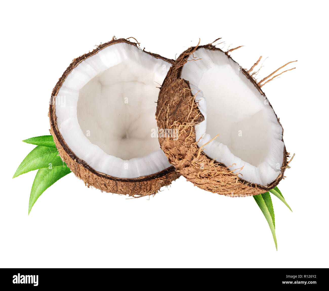 Group of coconuts isolated on white background Stock Photo - Alamy