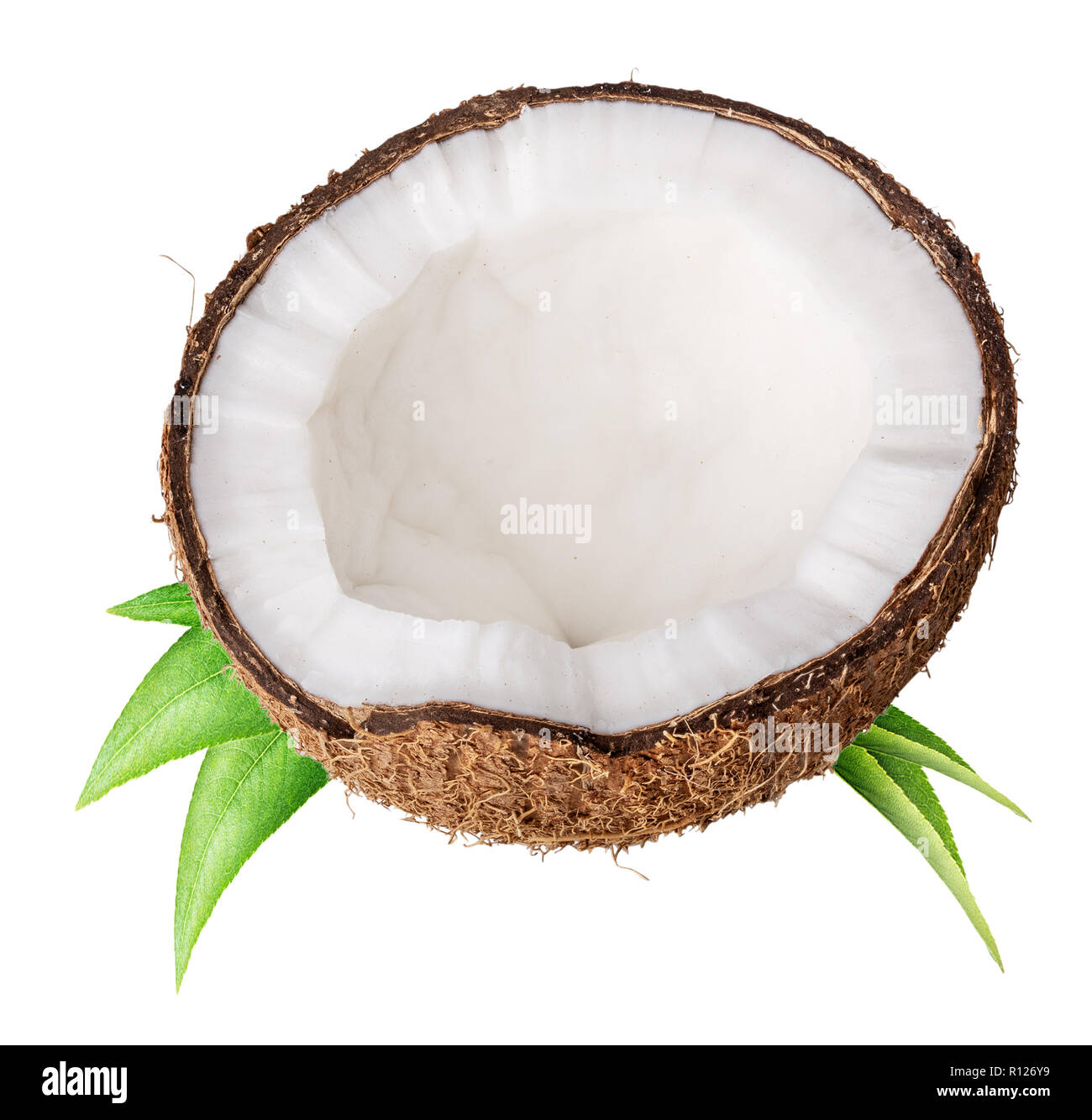 Group of coconuts isolated on white background Stock Photo - Alamy