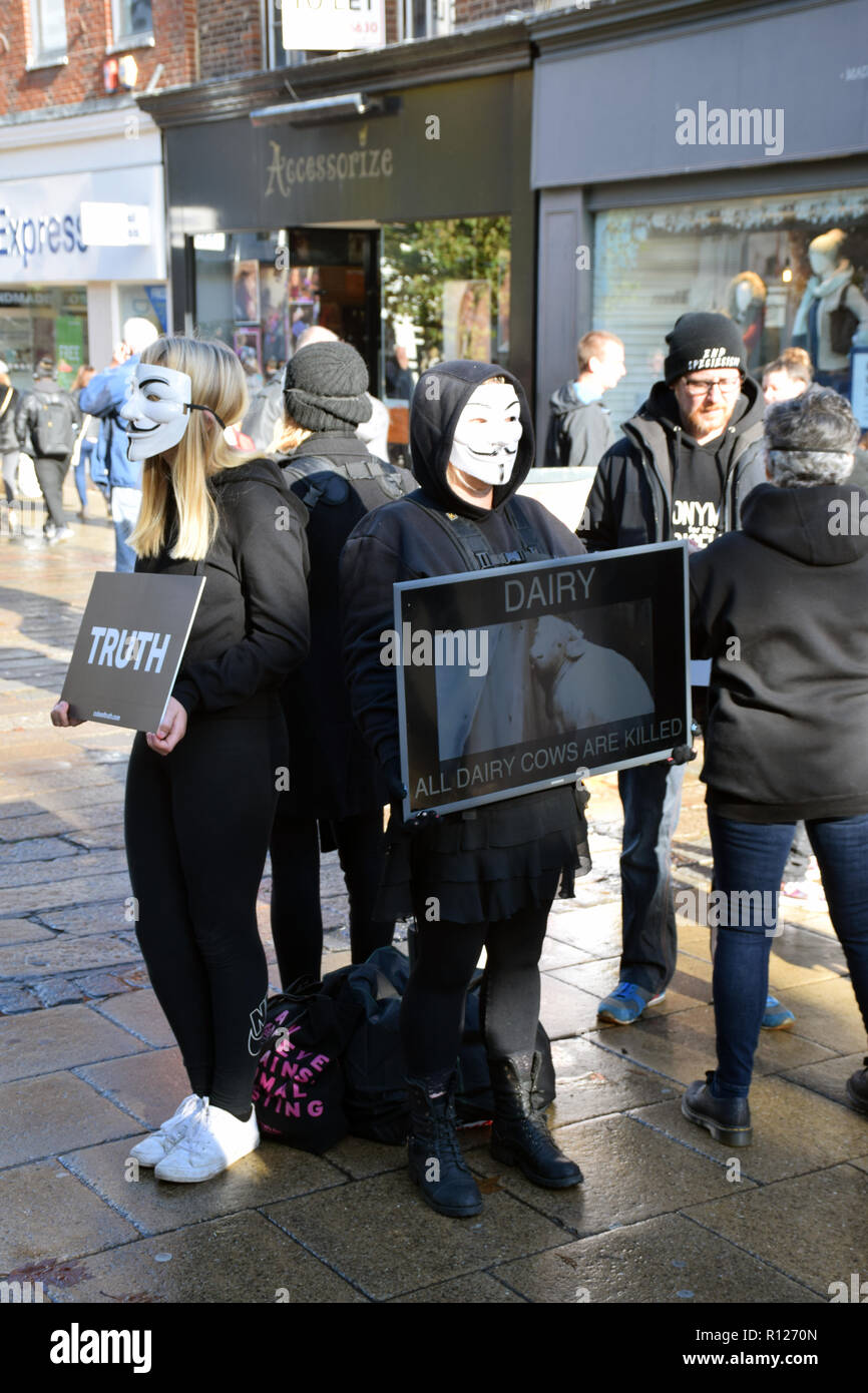 Anonymous for the Voiceless animal rights organisation that specialises ...